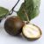 Nux Vomica : Indications et 17 bienfaits